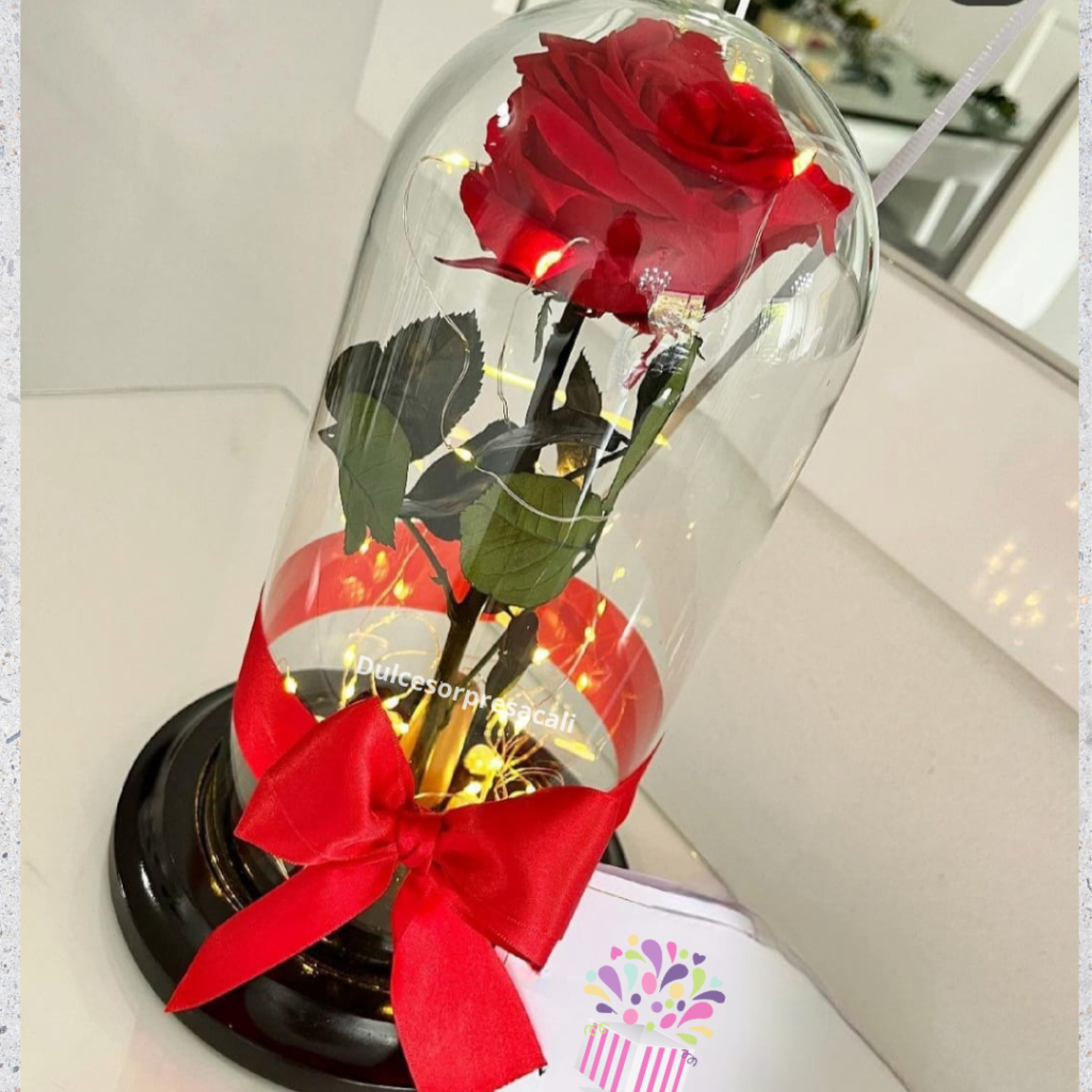 Rosa Preservada Roja - Dulce Sorpresa Cali
